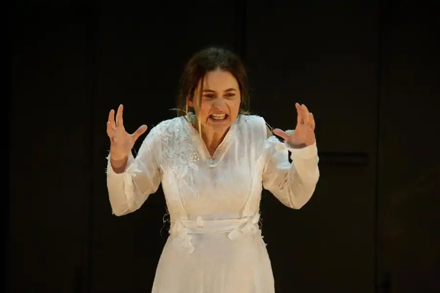 Sesc Rio Preto traz o monólogo ‘Virgínia’ com a atriz Cláudia Abreu ...