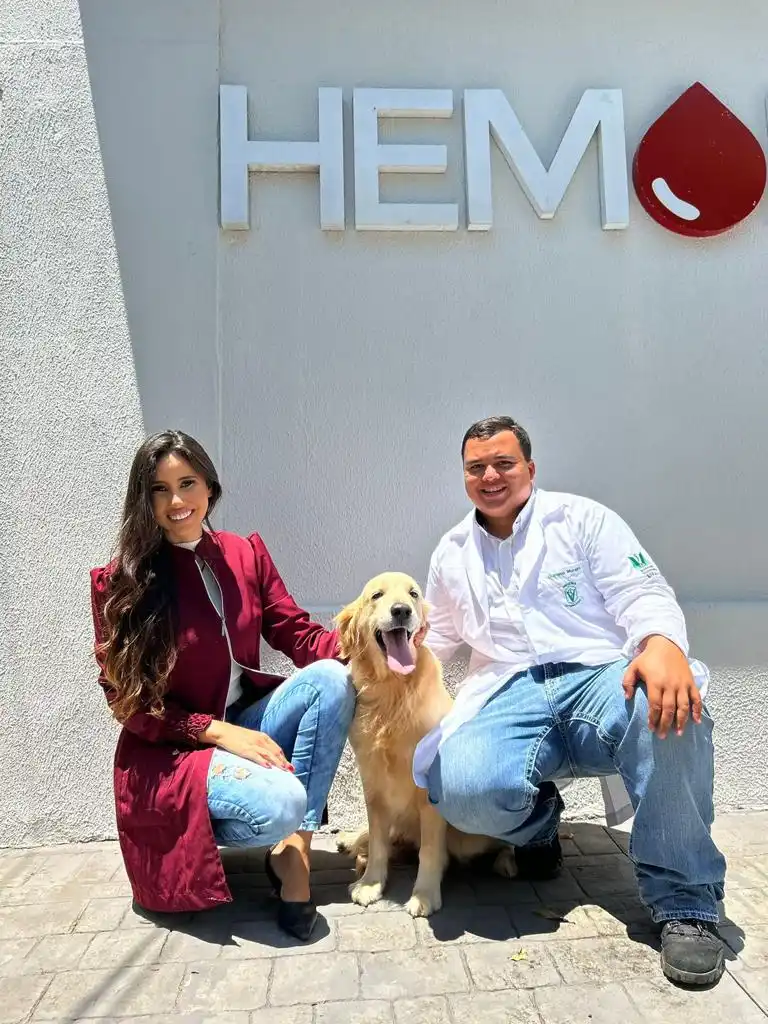 Empresa de Rio Preto voltada ao mercado de saúde animal vira franquia e ...