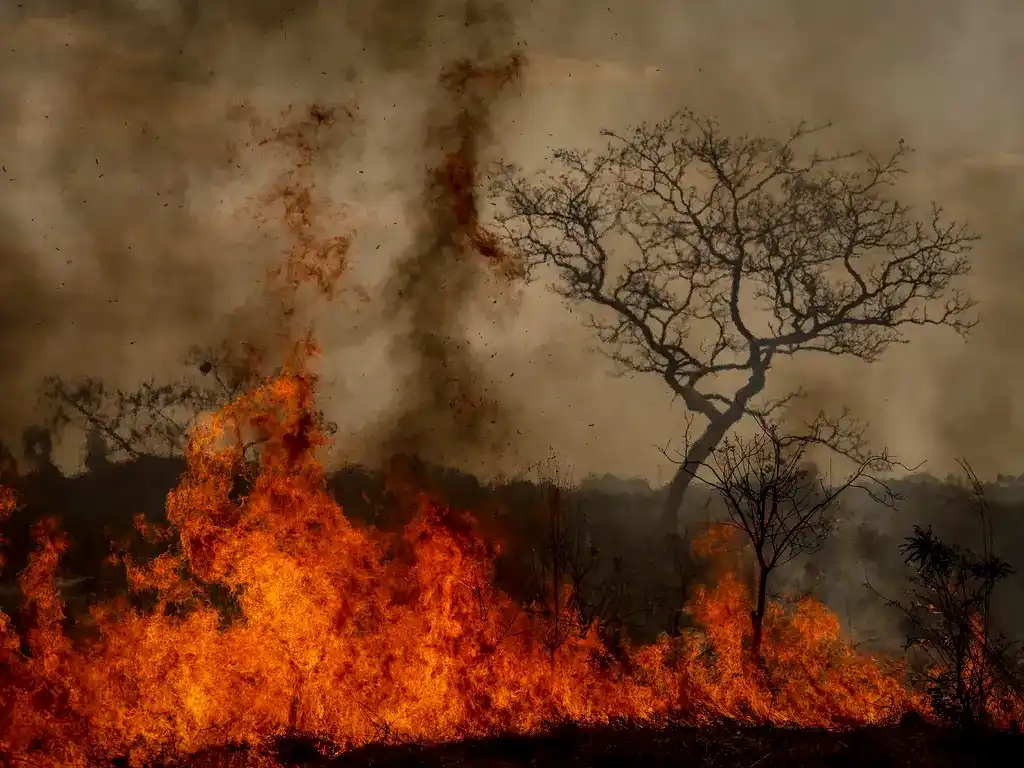 Queimadas em São Paulo: o que se sabe até agora sobre os incêndios ...